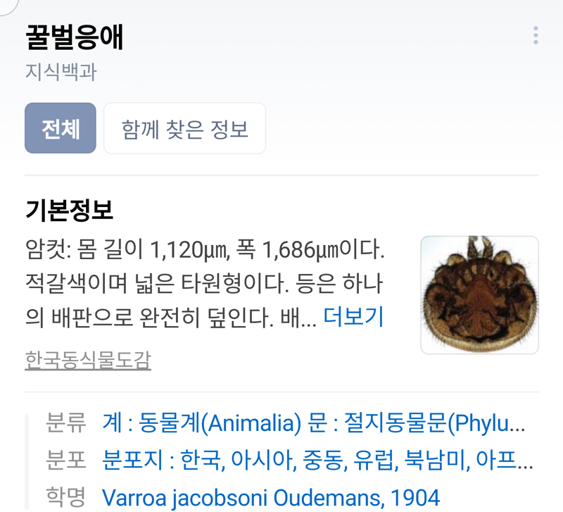 메이플스토리 인벤 응애 메이플스토리 인벤 자유게시판