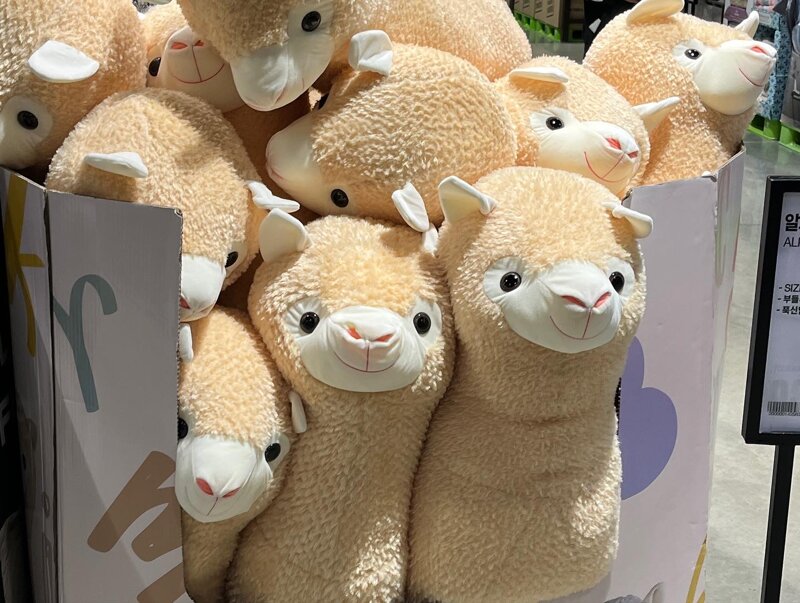 메이플스토리 인벤 리부트2 할만해요 메이플스토리 인벤 리부트 게시판