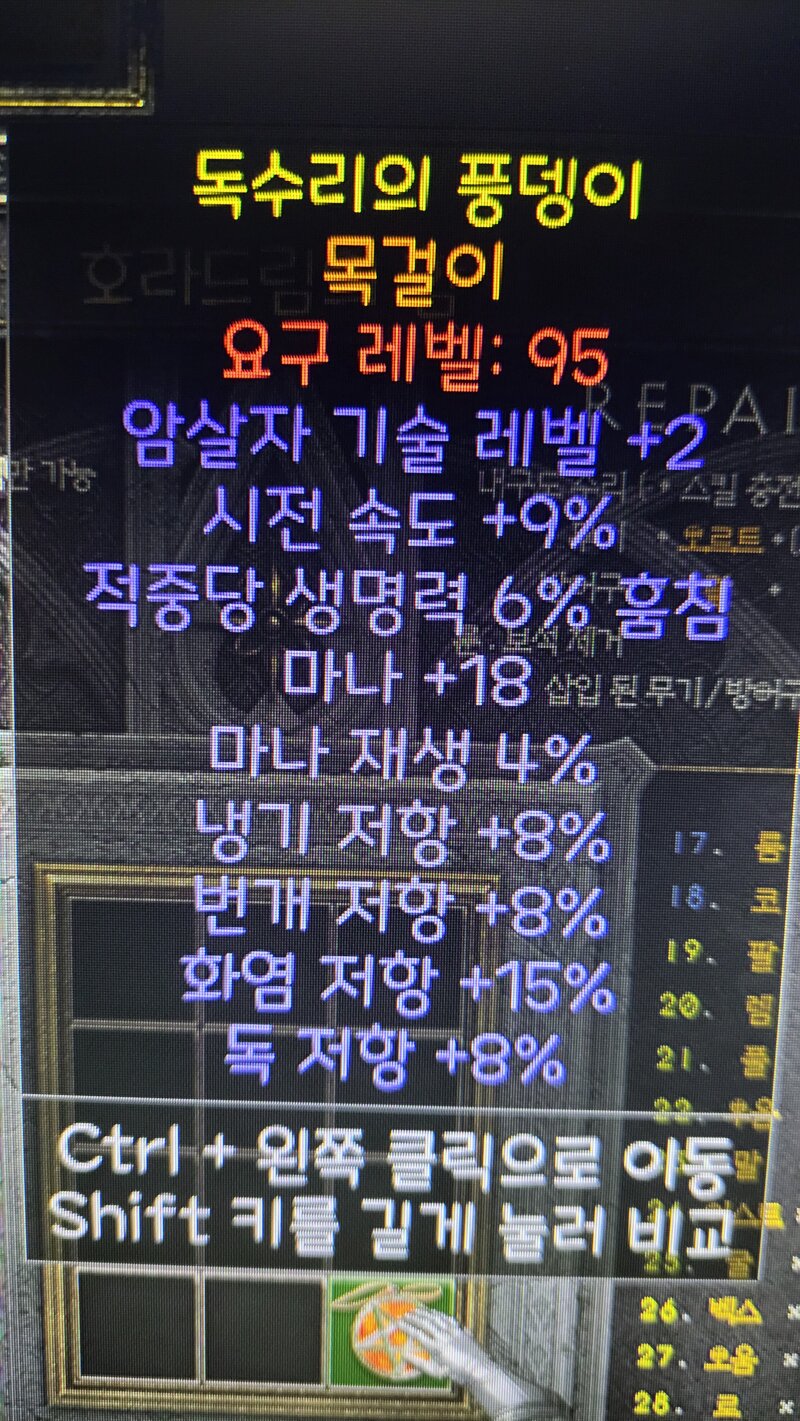 어쎄 패캐 목걸이인데 환일까요 디아블로2 자유 게시판 디아블로2 인벤