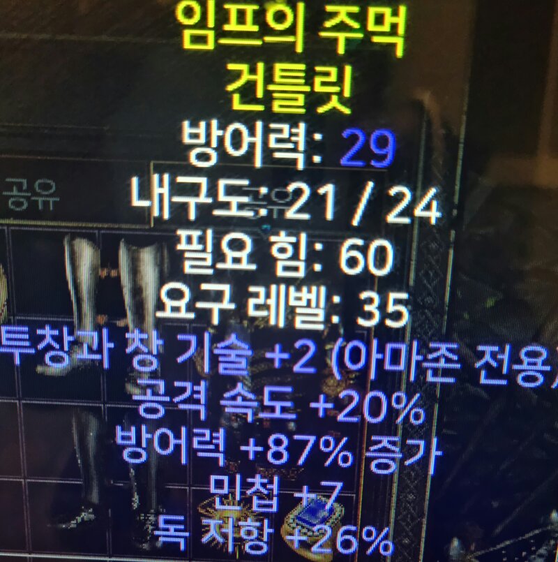 아마 장갑 봐주세요 디아블로2 득템and자랑 게시판 디아블로2 인벤