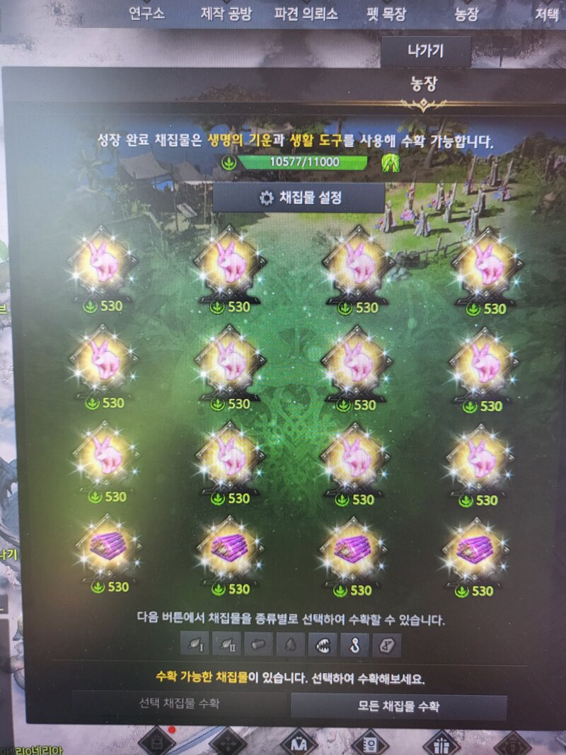 로스트아크 인벤 영지 채집물 버그 로스트아크 인벤 자유 게시판구