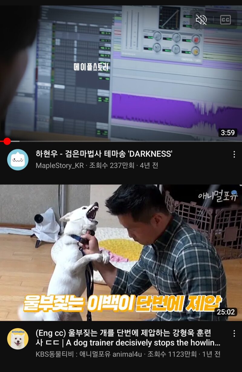메이플스토리 인벤 유튜브 알고리즘 이거 뭐냐 메이플스토리 인벤 자유게시판
