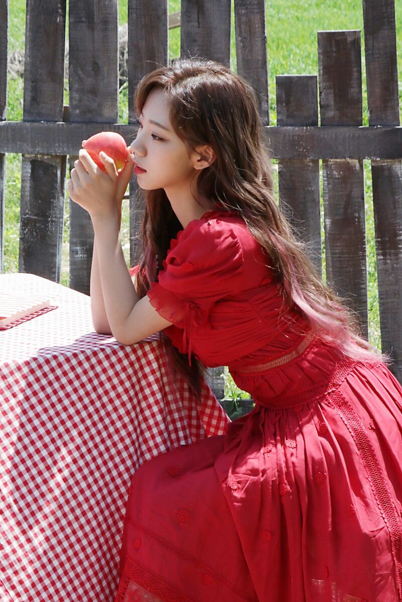 금모닝 디하 디아블로2 자유 게시판 디아블로2 인벤