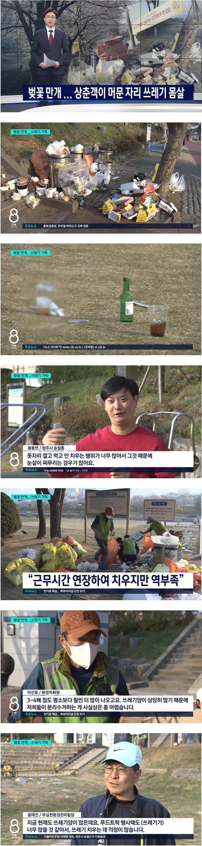저번달 벚꽃 명소 풍경 오픈이슈갤러리 인벤
