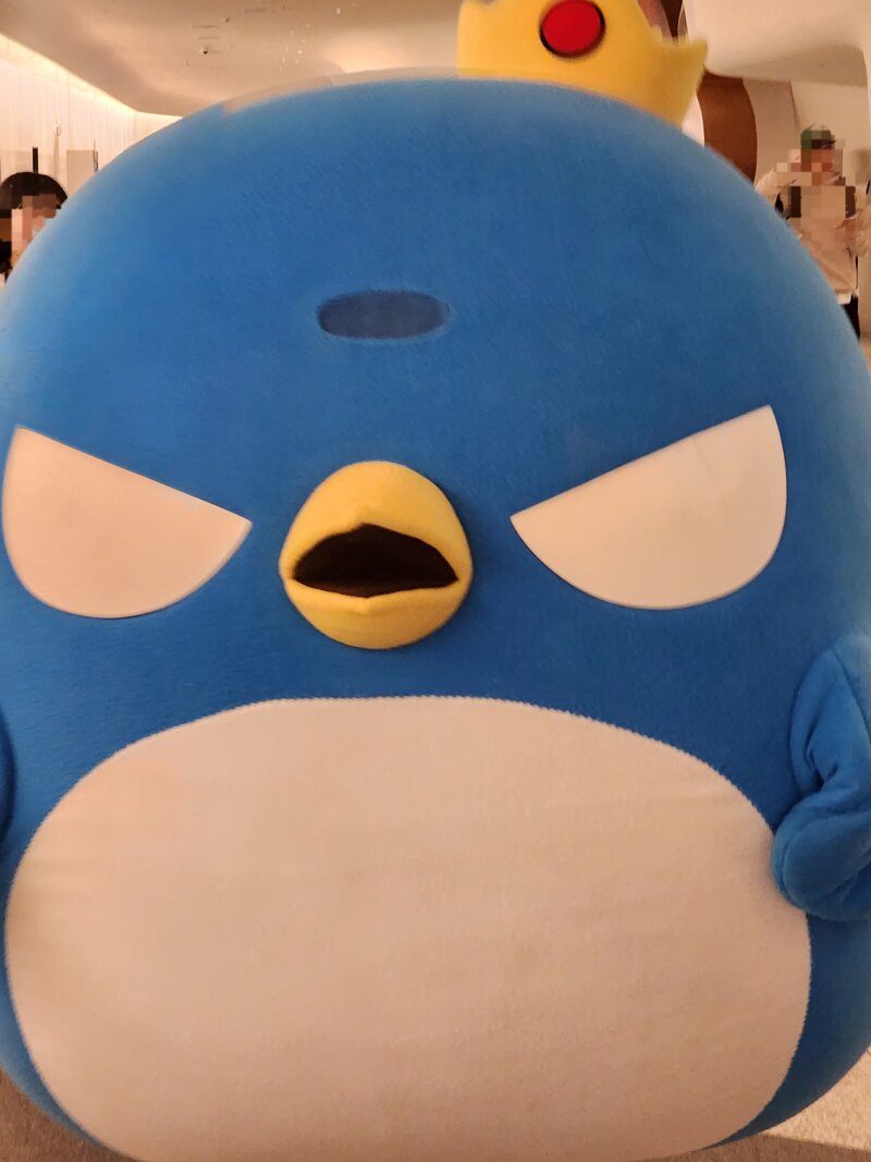 메이플스토리 인벤 역동적인 페페님 펜페스타 메이플스토리 인벤 자유게시판