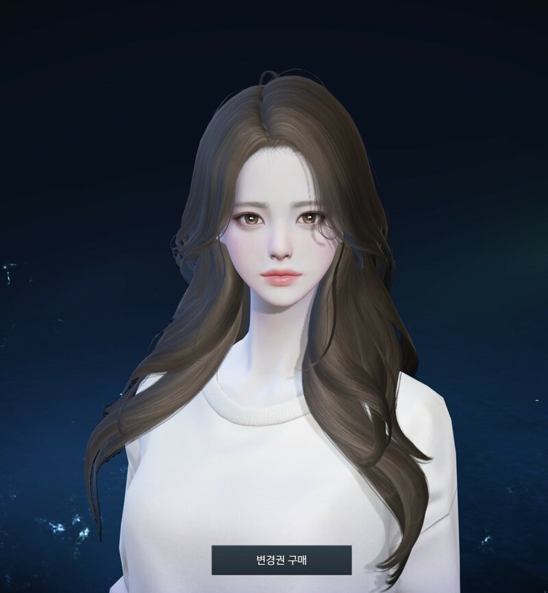 로스트아크 인벤 실린 로스트아크 인벤 스크린샷 갤러리