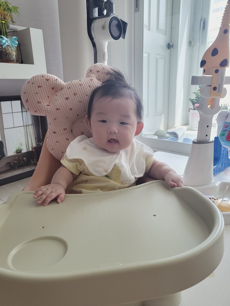 메이플스토리 인벤 메붕이 애기 근황 메이플스토리 인벤 자유게시판