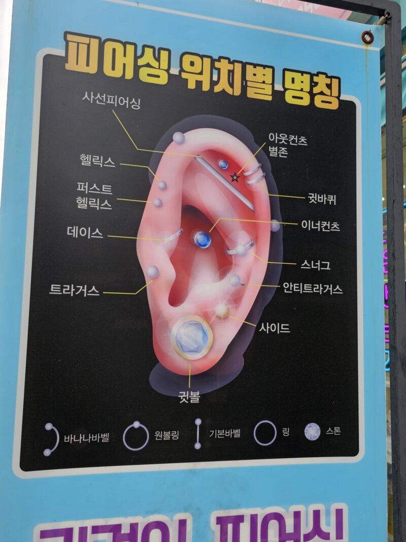 이렇게 다양한거였어 디아블로2 자유 게시판 디아블로2 인벤