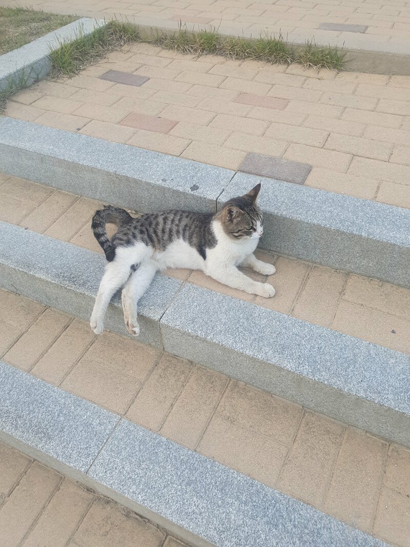 메이플스토리 인벤 얘 뭐냐 메이플스토리 인벤 자유게시판