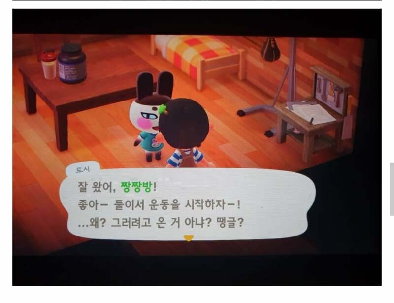 메이플스토리 인벤 의외로 음란한 게임 메이플스토리 인벤 자유게시판