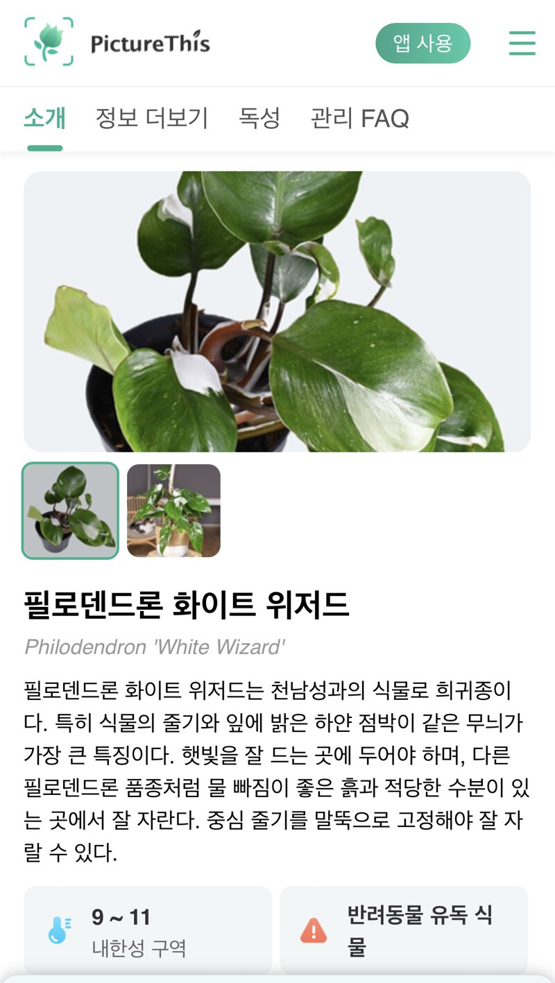 메이플스토리 인벤 플레임 위자드 메이플스토리 인벤 자유게시판