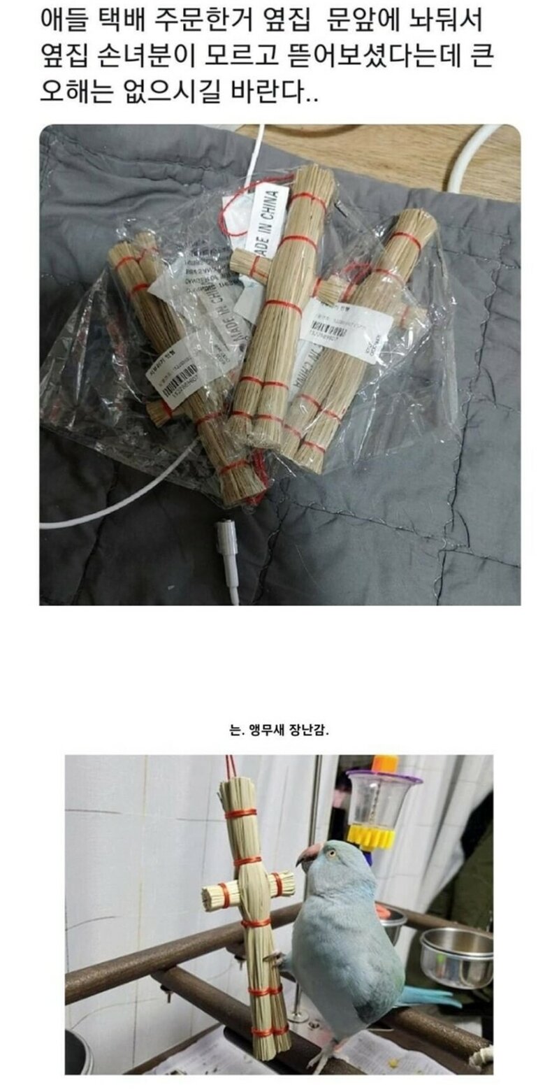 메이플스토리 인벤 좋아하는 딱지색 뭐임 역시 핑딱 메이플스토리 인벤 자유게시판