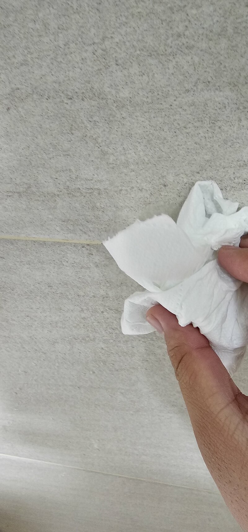 메이플스토리 인벤 약혐화장실에 벌레칑기가있네 메이플스토리 인벤 자유게시판