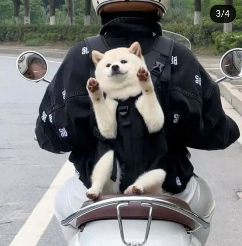 추월방지 시스템 오픈이슈갤러리 인벤