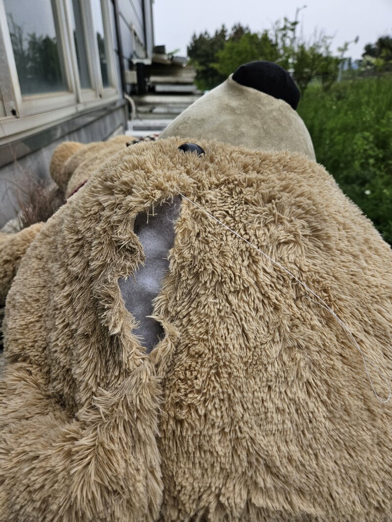 개한테 준 인형 터졌네 디아블로3 인벤 자유게시판 디아블로3 인벤