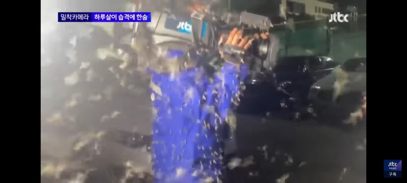 로스트아크 인벤 약혐 성수동 벌레 ㅁㅊ 로스트아크 인벤 자유 게시판구