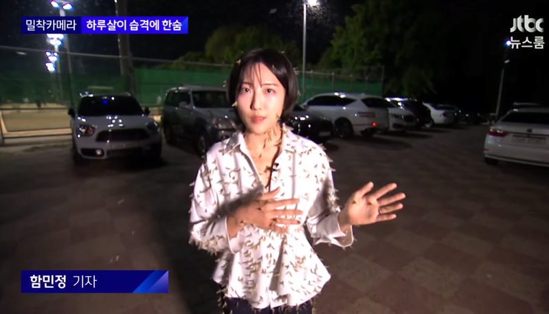 메이플스토리 인벤 약혐 성수동 근황 메이플스토리 인벤 자유게시판