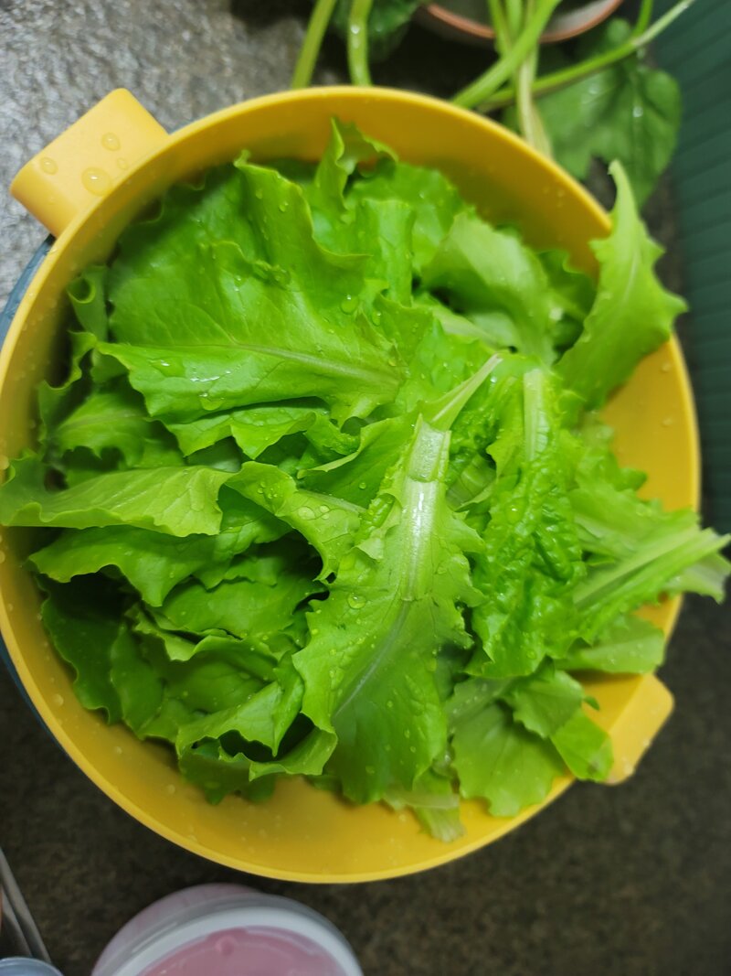 야들아 맛저 디아블로2 자유 게시판 디아블로2 인벤