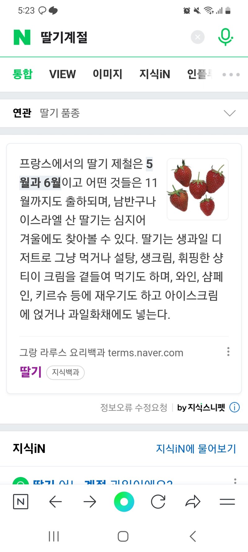 로스트아크 인벤 딸기 계절 로스트아크 인벤 이슈토론버그 게시판