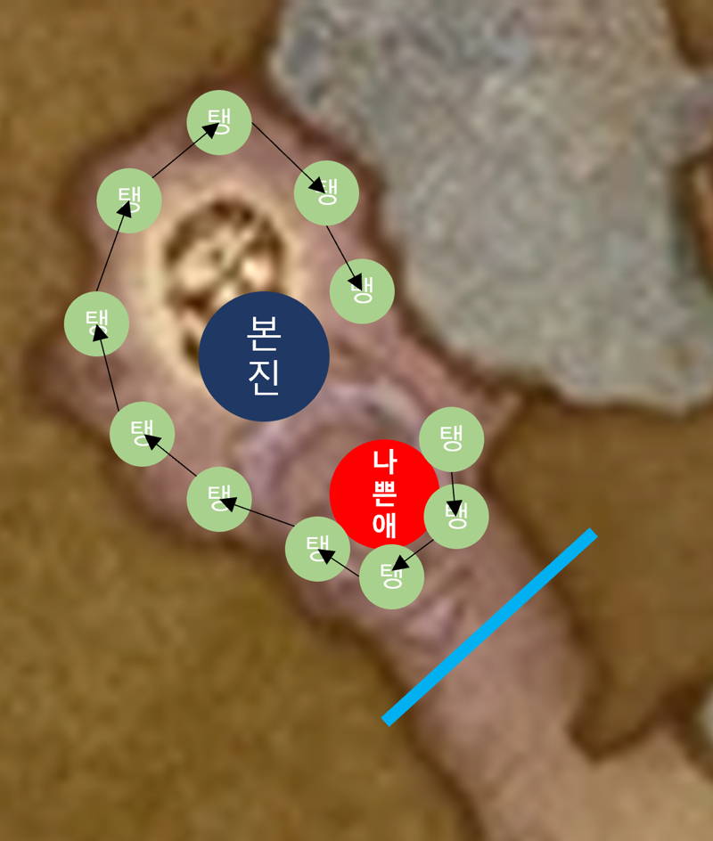 월드 오브 워크래프트 인벤 넬타 1넴 어떻게 잡나요 와우 인벤 쐐기돌 게시판