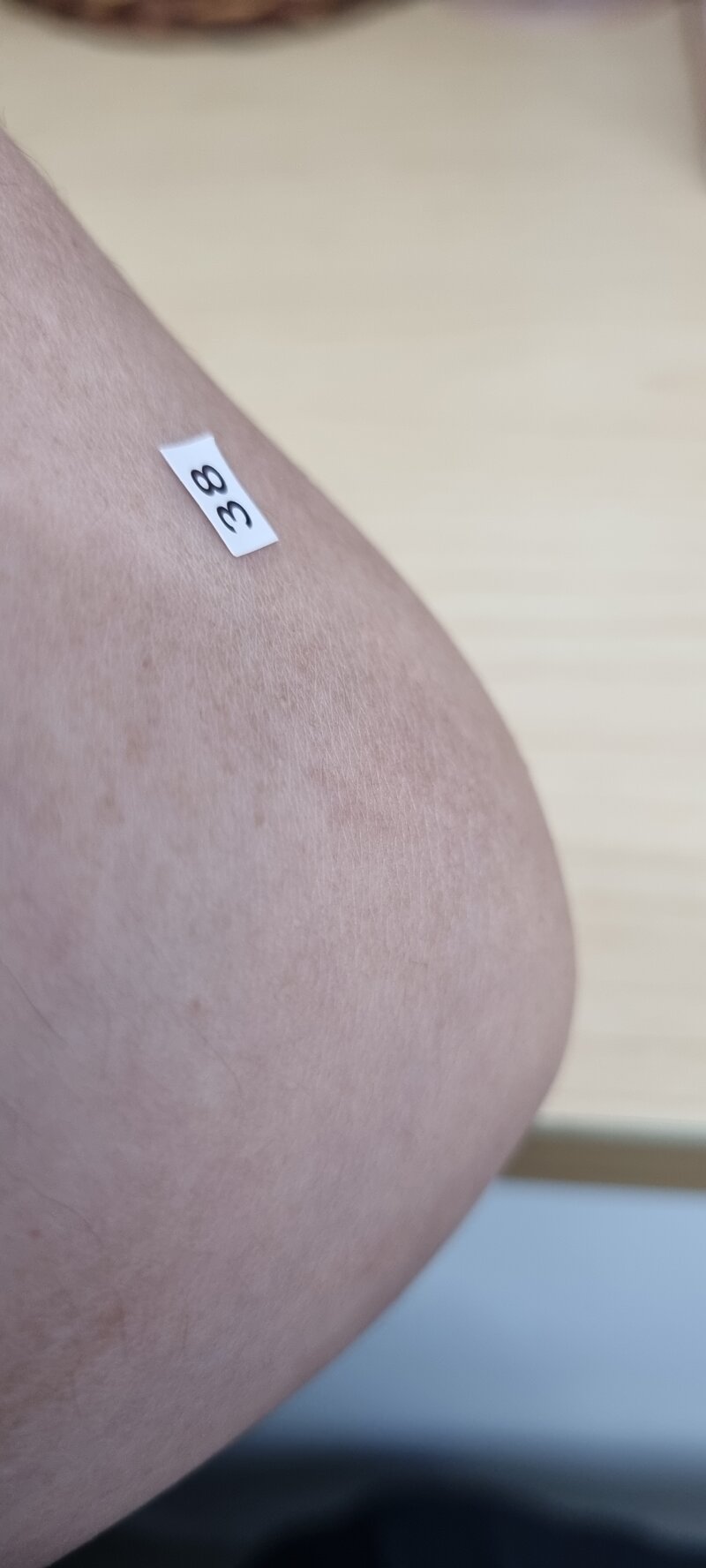 메이플스토리 인벤 메붕이 언제 가격표가 붙었다냐 메이플스토리 인벤 자유게시판