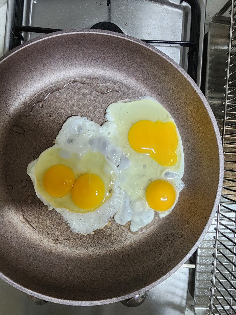 메이플스토리 인벤 실시간 계란후라이 메이플스토리 인벤 자유게시판