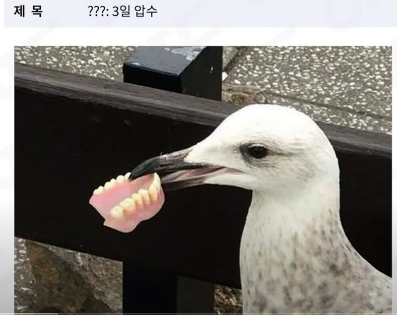메이플스토리 인벤 틀니 메이플스토리 인벤 자유게시판