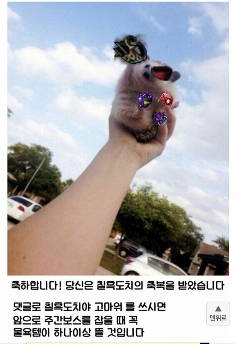 메이플스토리 인벤 칠흑도치야 고마워 메이플스토리 인벤 자유게시판