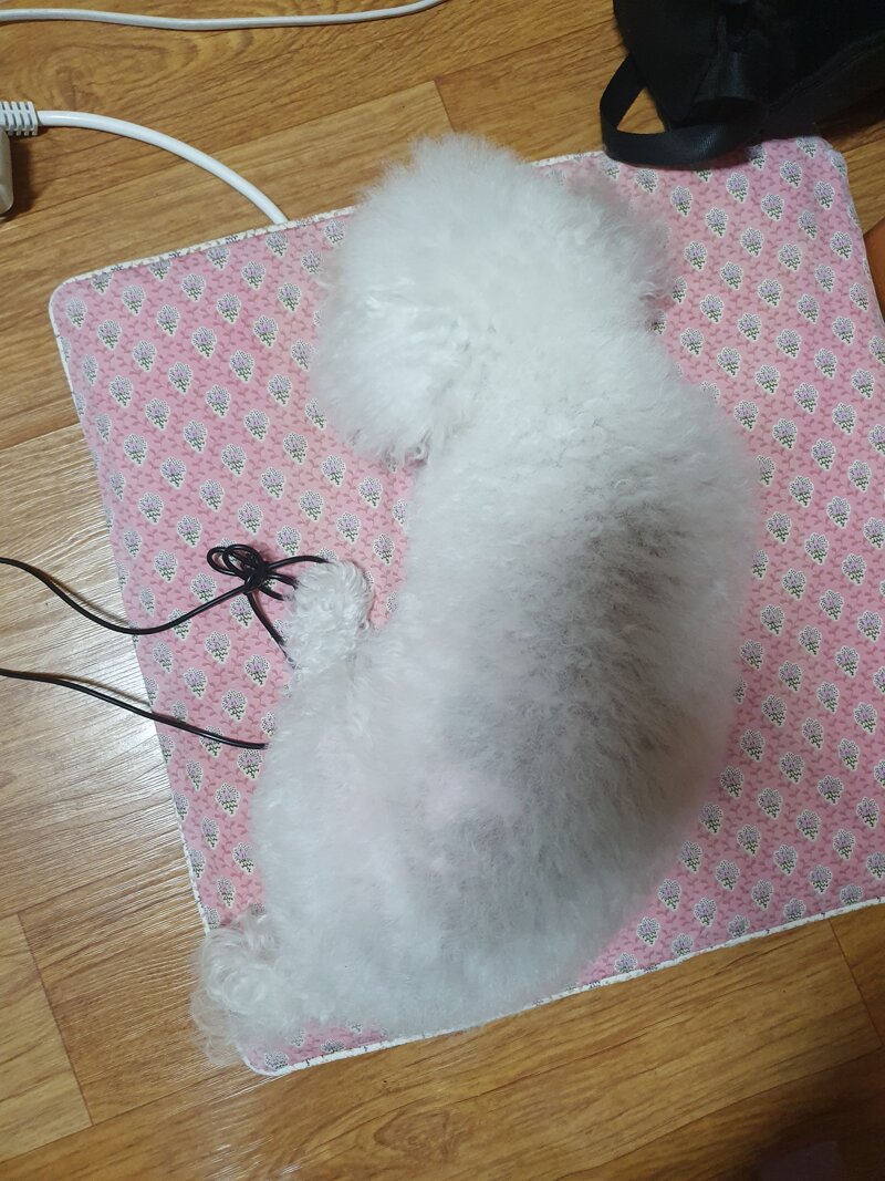 메이플스토리 인벤 이놈모임 메이플스토리 인벤 자유게시판