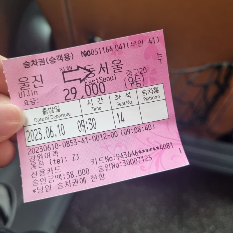 메이플스토리 인벤 쇼케 드가자 ㅋㅋ 메이플스토리 인벤 자유게시판