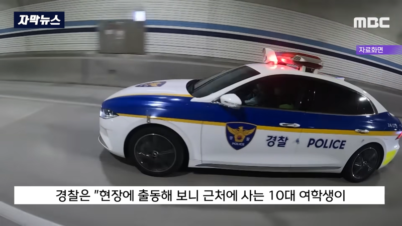 방음터널 위 여성 정체 밝혀졌다 오픈이슈갤러리 인벤