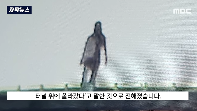 방음터널 위 여성 정체 밝혀졌다 오픈이슈갤러리 인벤