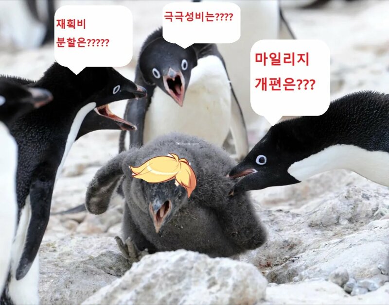 메이플스토리 커뮤니티 화제 오늘 뚝이 웡키 합방간담회 일부 요약 Vortex Gaming