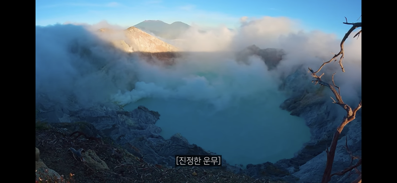 월드 오브 워크래프트 인벤 진정한 운무 와우 인벤 수도사 게시판