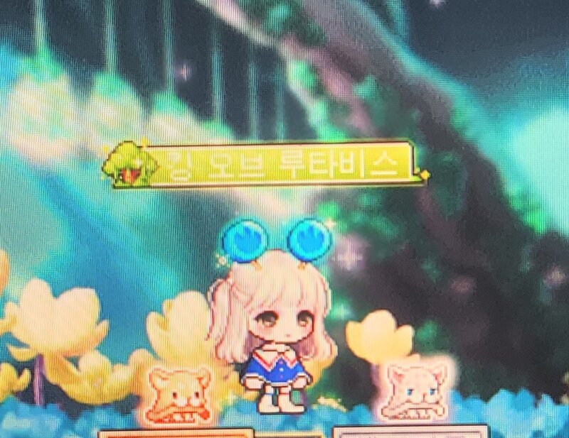 메이플스토리 인벤 용용아이스 개이쁨 메이플스토리 인벤 자유게시판