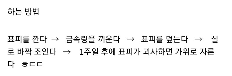 메이플스토리 인벤 오싹 오싹 셀프 수술 메이플스토리 인벤 자유게시판