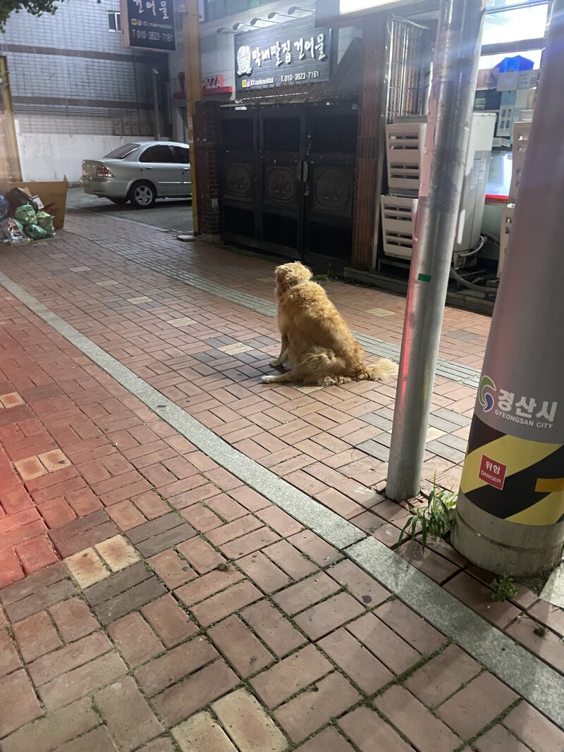 메이플스토리 인벤 얘 먼데 메이플스토리 인벤 자유게시판