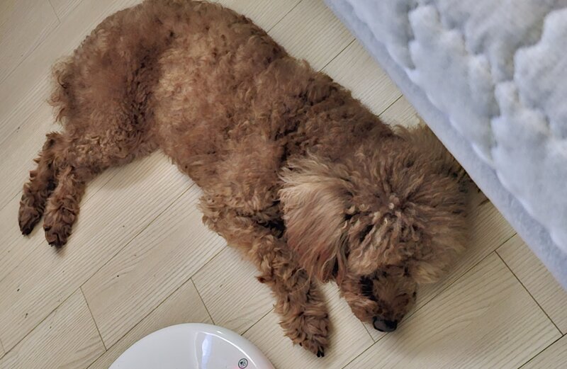 메이플스토리 인벤 그니까 이거 올리면 10추간다고 메이플스토리 인벤 자유게시판