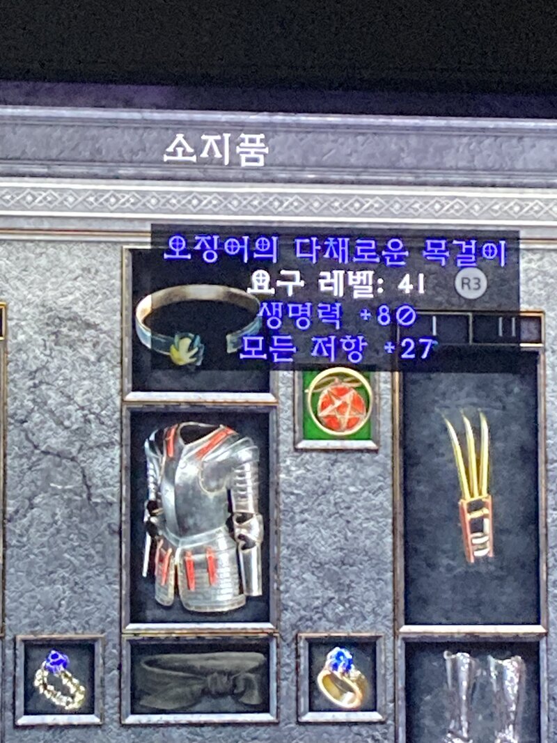 형들 목걸이 두개 좀 봐주셈 디아블로2 득템and자랑 게시판 디아블로2 인벤