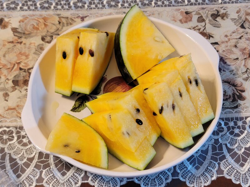 메이플스토리 인벤 노랑 수박 메이플스토리 인벤 자유게시판