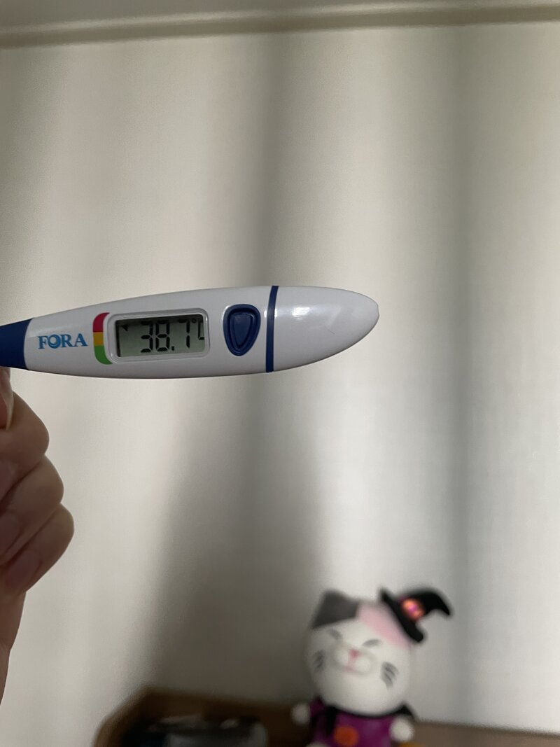 메이플스토리 인벤 뭣 메이플스토리 인벤 자유게시판