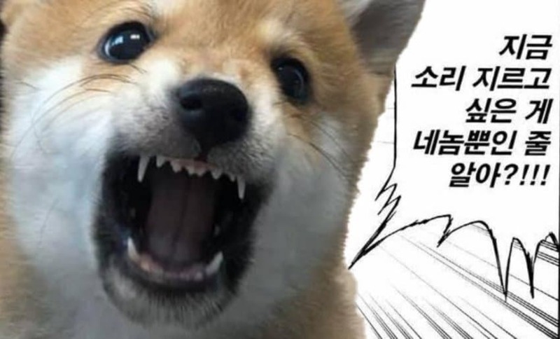 로스트아크 인벤 헤드 딜러들 상황 로스트아크 인벤 자유 게시판