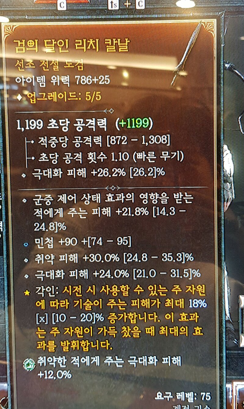 디아블로4 인벤 도적 도검2개낄꺼좀 봐주세용 ㅠㅠ 디아블로4 인벤 도적 게시판