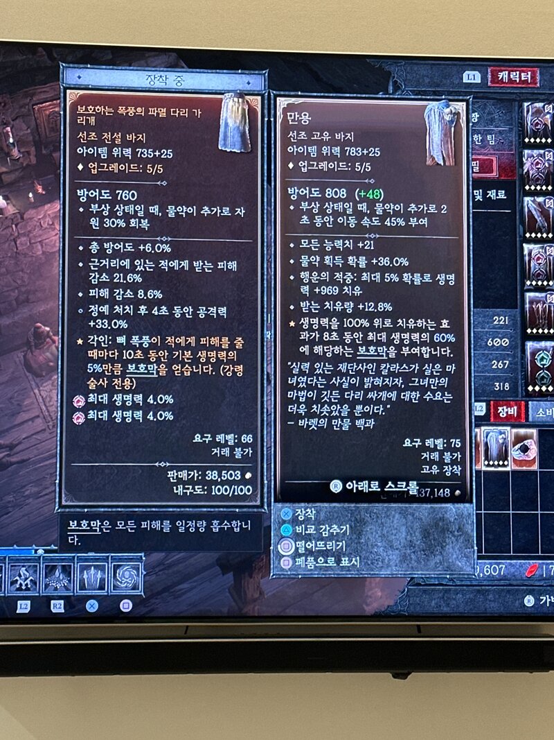 디아블로4 인벤 뼈창 바지 뭐가 더 좋을까요 디아블로4 인벤 강령술사 게시판