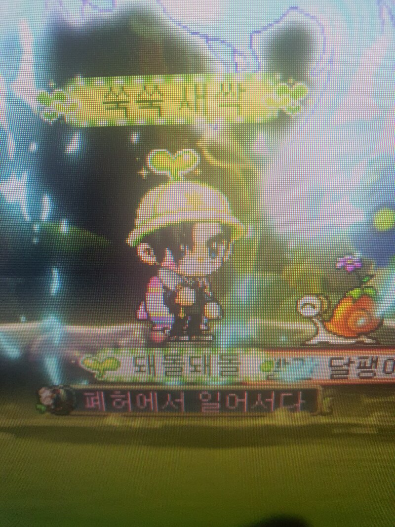 메이플스토리 인벤 저의메이플처음했을때옛날사진이네요 메이플스토리 인벤 리부트 게시판