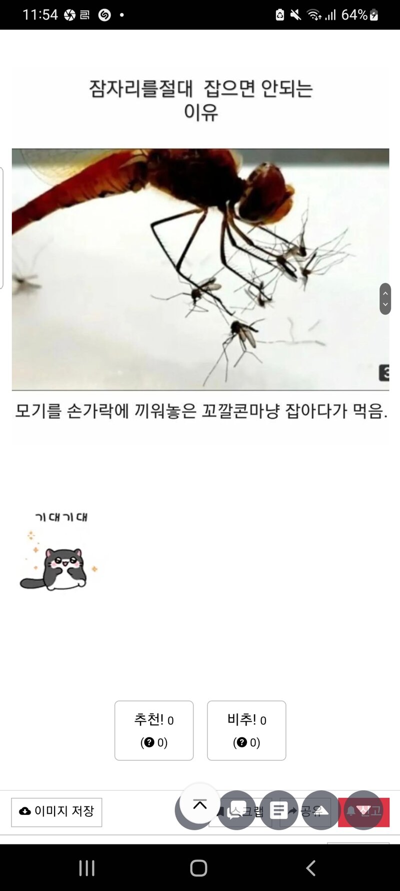 메이플스토리 인벤 약혐잠자리를 함부로 잡으면 안되는 이유 메이플스토리 인벤 자유게시판