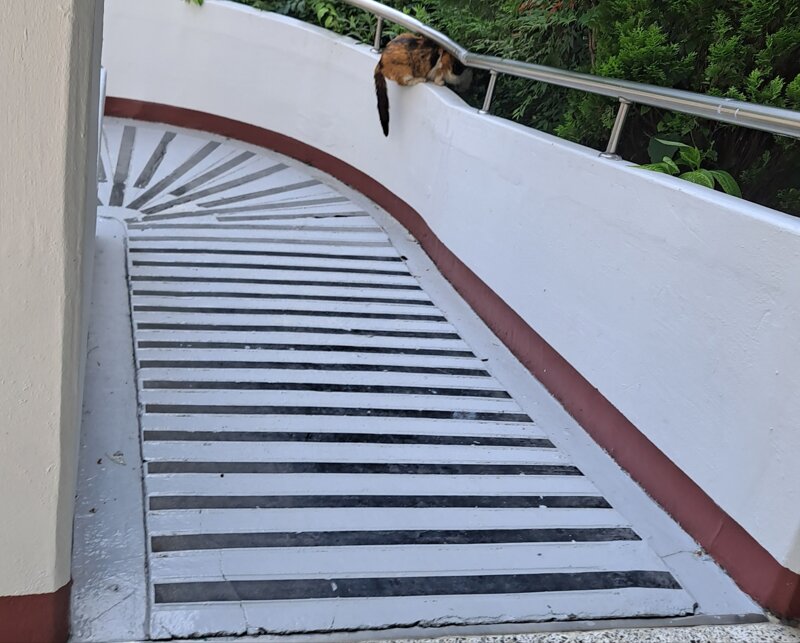 메이플스토리 인벤 길냥이 도망갔다 메이플스토리 인벤 자유게시판