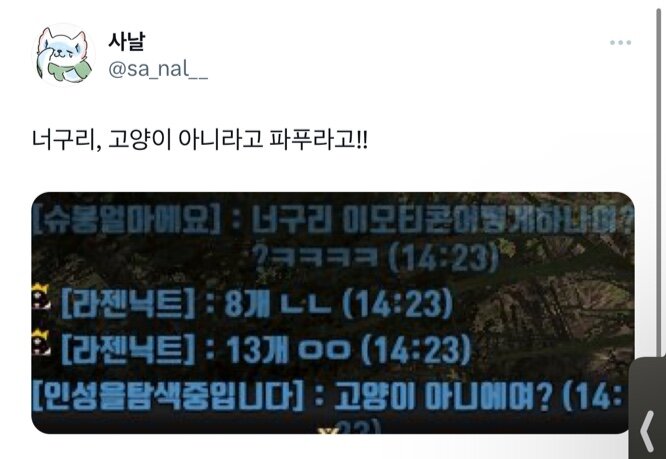 검은사막 커뮤니티 화제 고통받는 사날 Feat너구리 Vortex Gaming