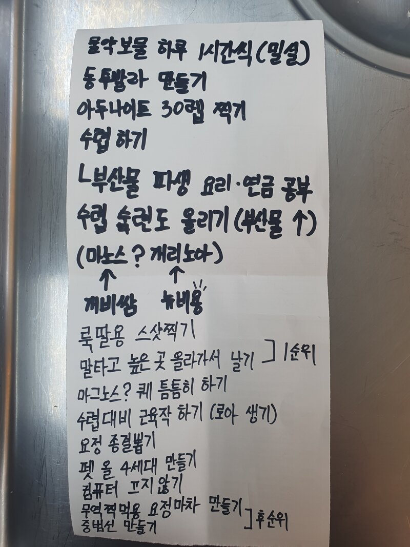 뉴비 월루하면서 앞으로의 계획 적기 볼텍스 게이밍