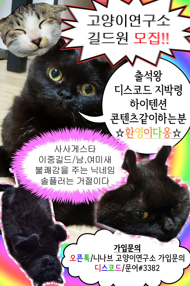 로스트아크 인벤 니나브 친목길드 고양이 연구소에서 디코 지박령 분들을 찾습니다 로스트아크 인벤 길드 찾기모집 게시판